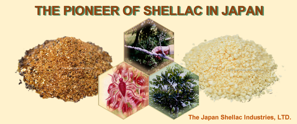 日本シェラック工業株式会社